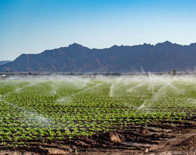 Yuma Ag Water – Yuma Fresh