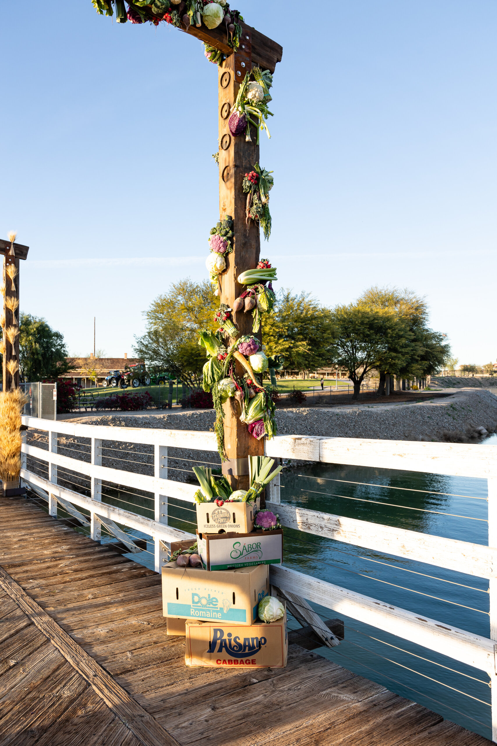 Harvest Dinner – Yuma Fresh