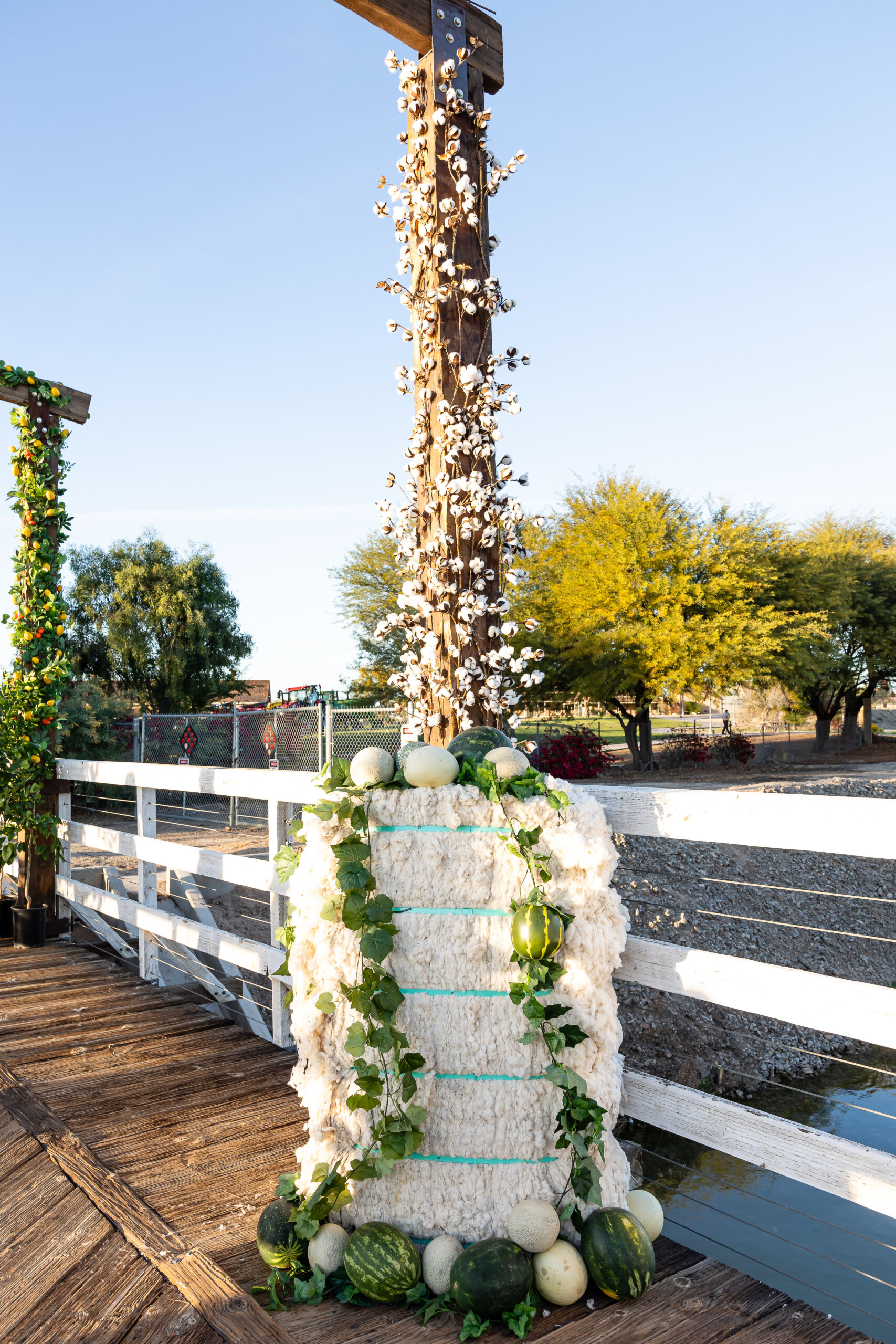 Harvest Dinner – Yuma Fresh