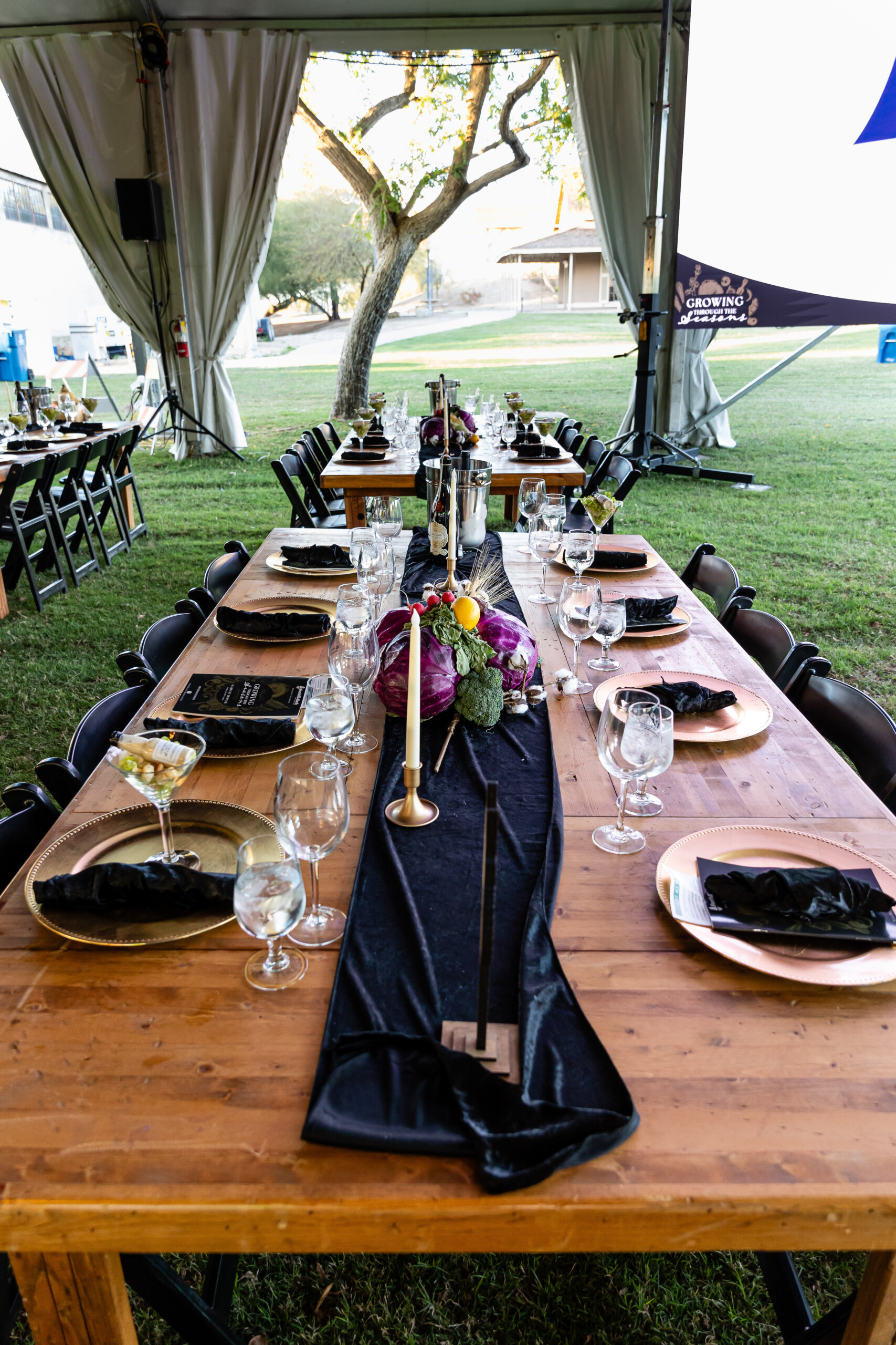 Harvest Dinner – Yuma Fresh