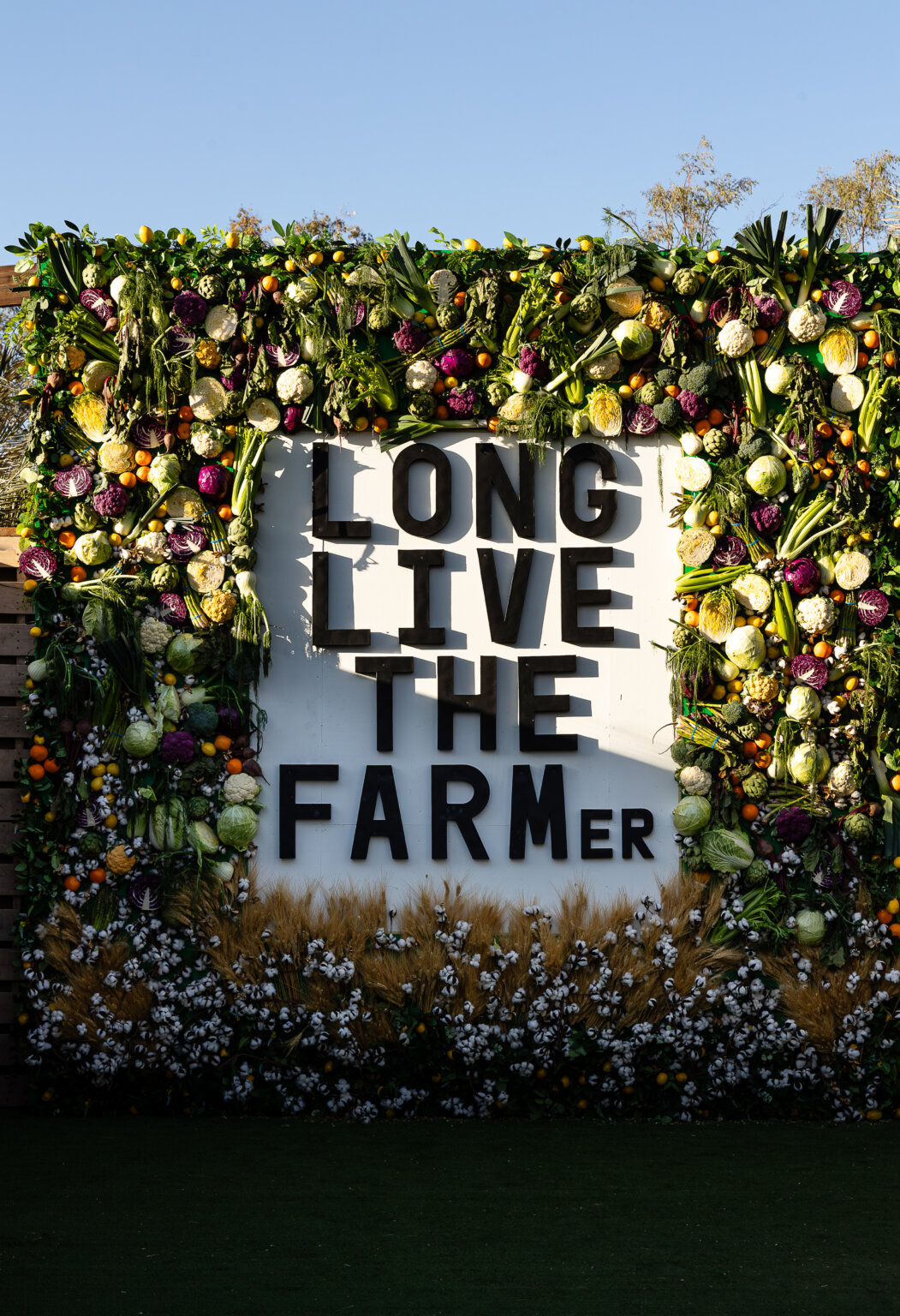 Harvest Dinner – Yuma Fresh